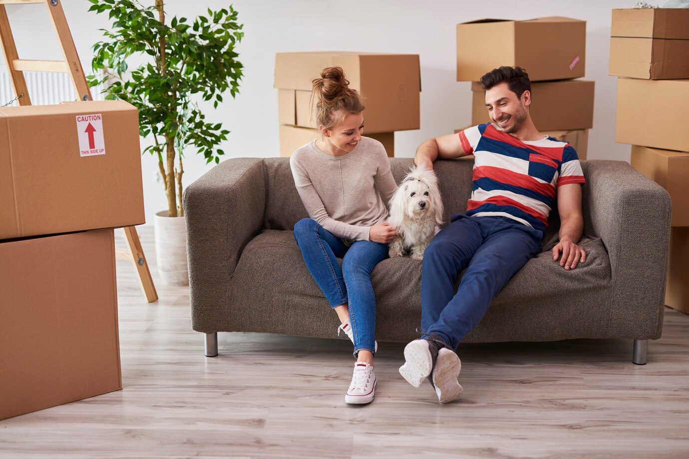 Moving with Pets in Edmonton: Stress-Free Relocation Tips - Asr Moving